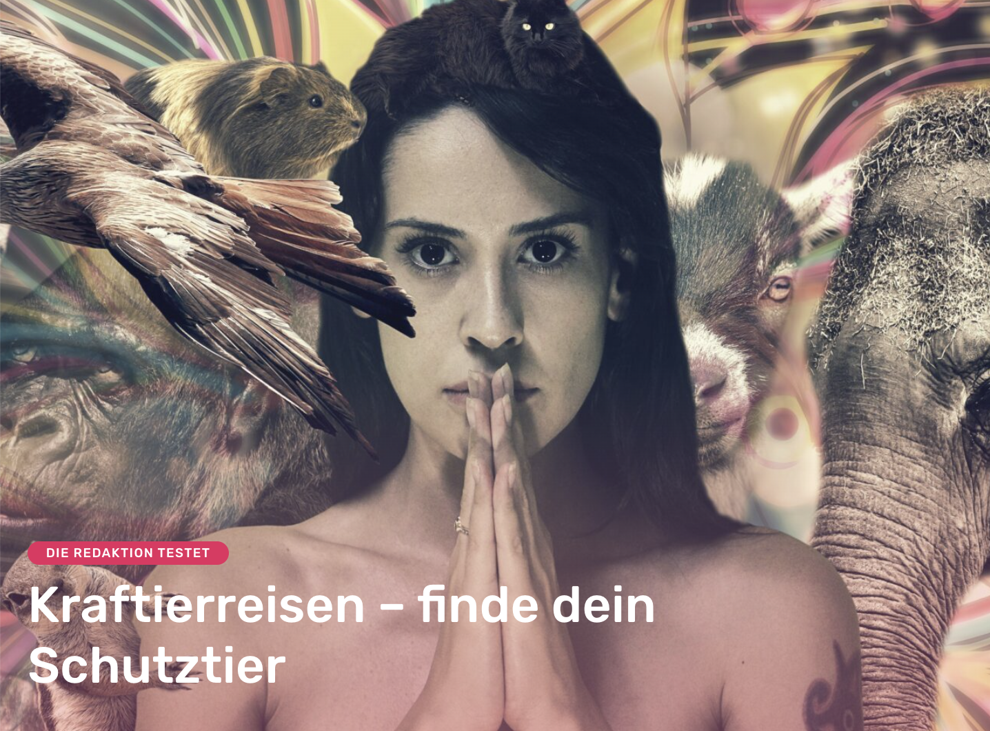 Einblicke der Yogaworld-Redaktion in die transformative Praxis der ...